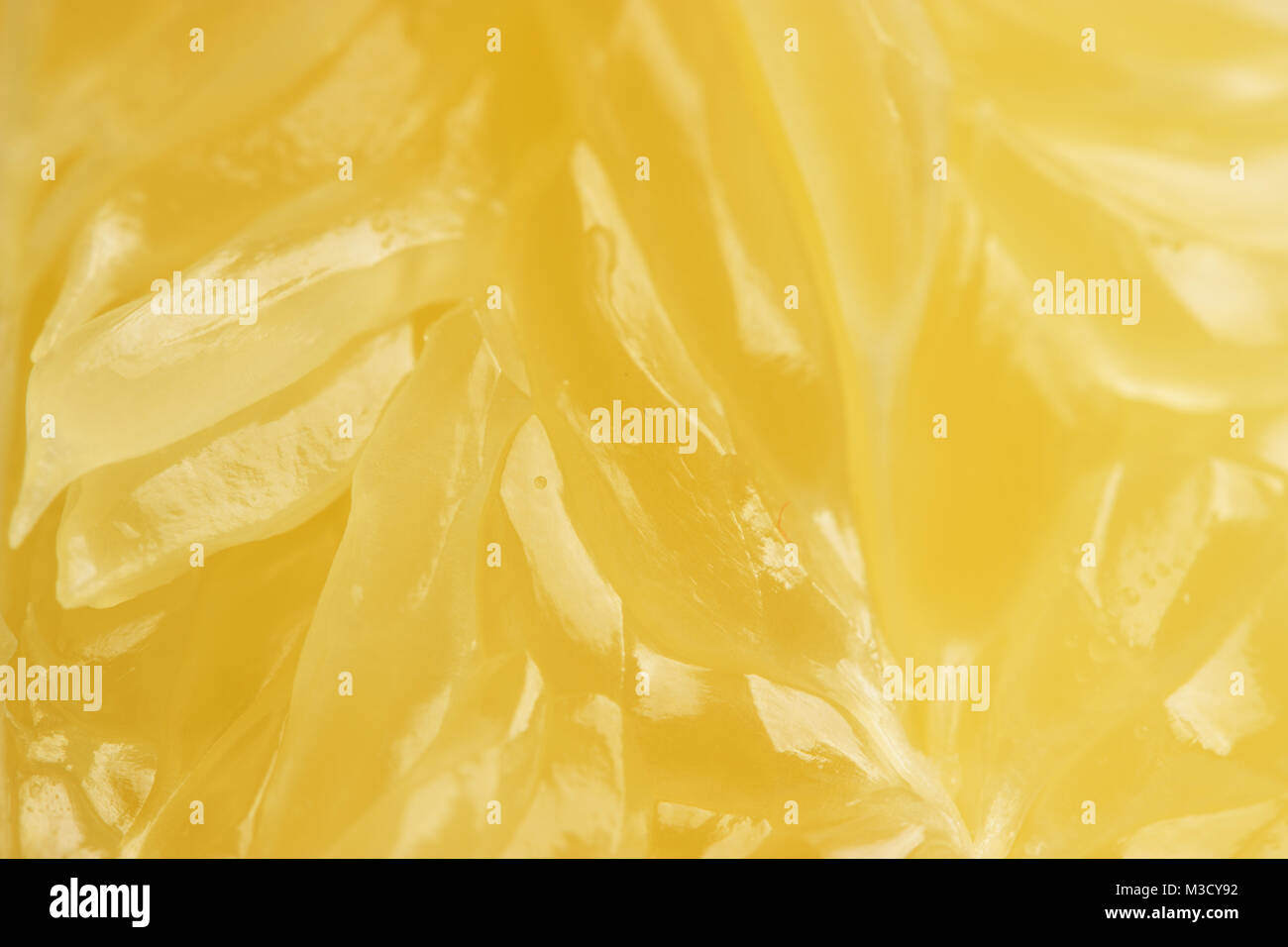 Macro shot of citrus fruits. extreme close up Stock Photo - Alamy