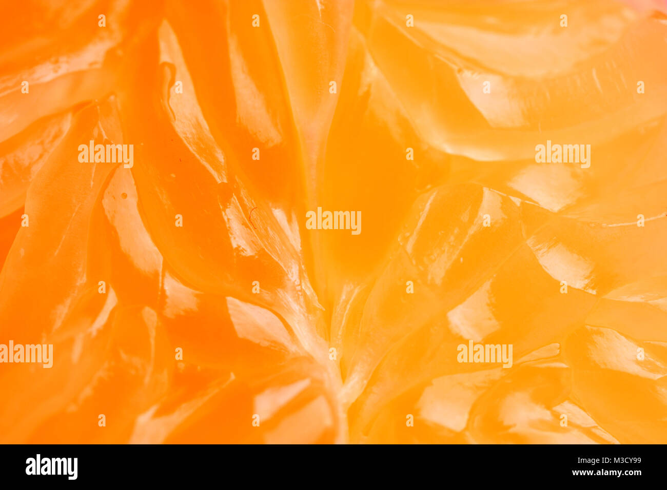 Macro shot of citrus fruits. extreme close up Stock Photo - Alamy