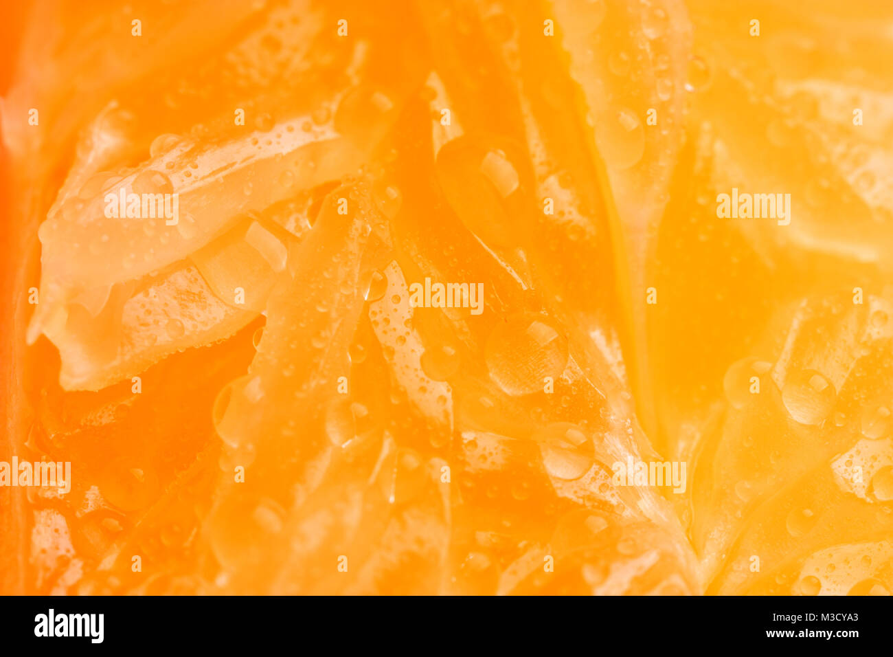 Macro shot of citrus fruits. extreme close up Stock Photo - Alamy