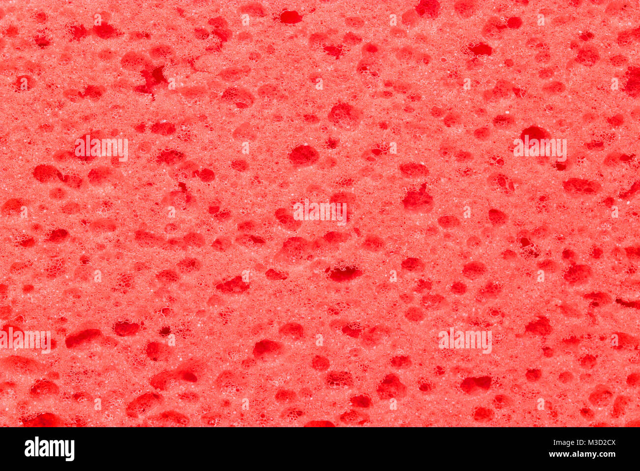 red sponge texture. red sponge background, close up Stock Photo - Alamy