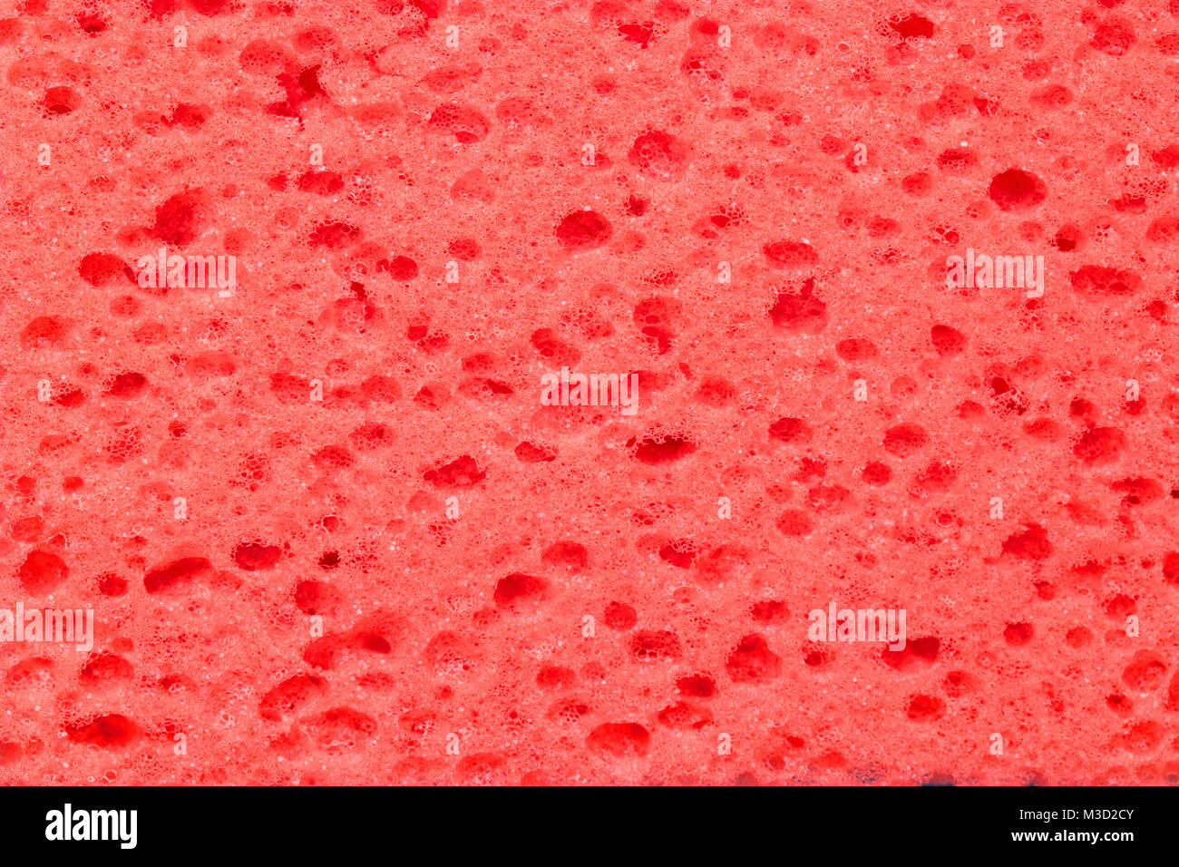 red sponge texture. red sponge background, close up Stock Photo - Alamy