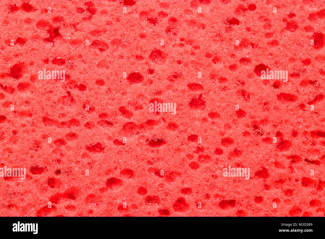 red sponge texture. red sponge background, close up Stock Photo - Alamy