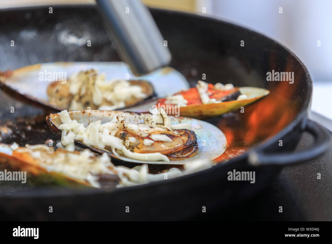 Fried mussels with pieces of cheese in a frying pan Stock Photo - Alamy