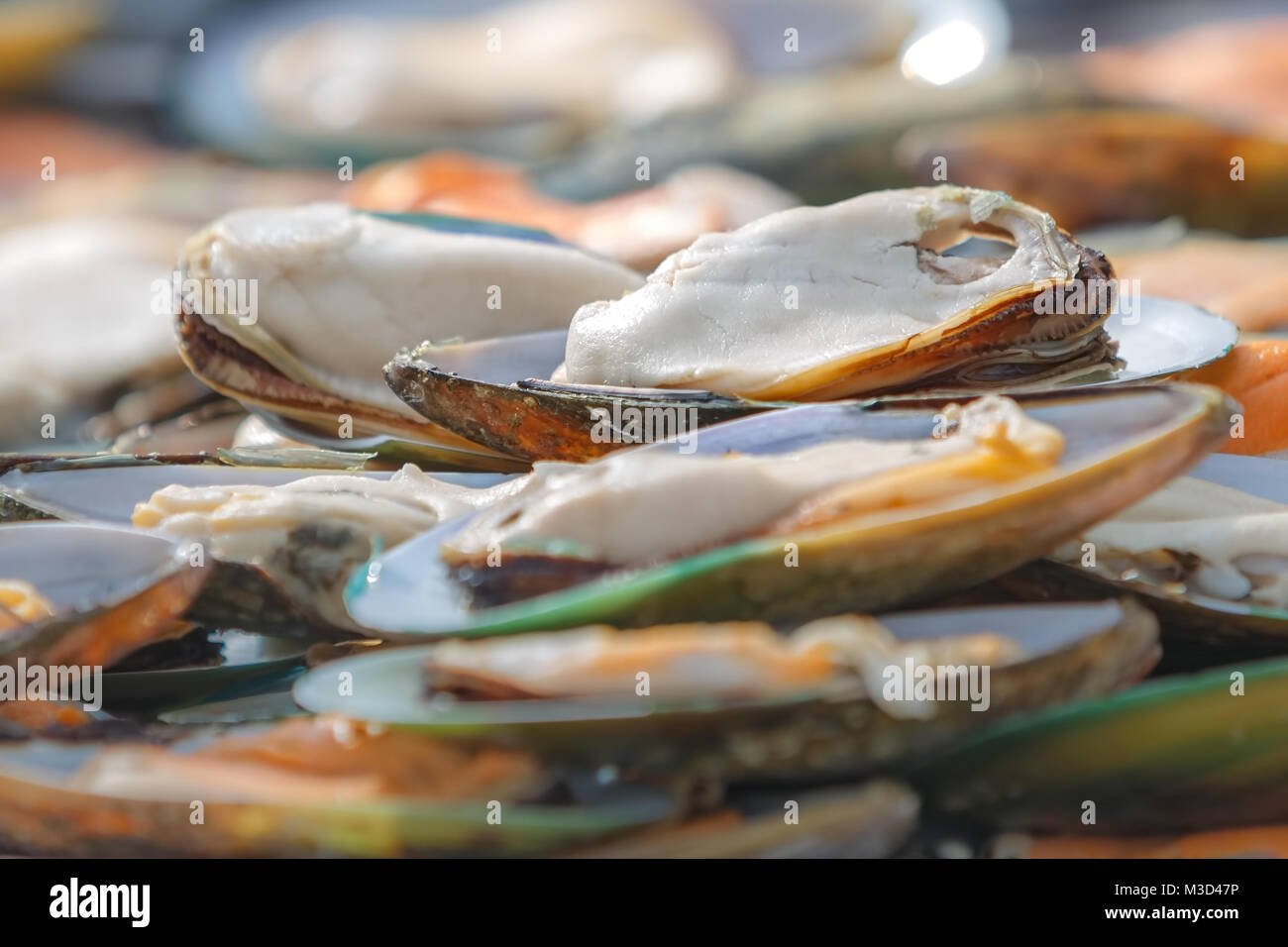 Chilled mussels hi-res stock photography and images - Alamy
