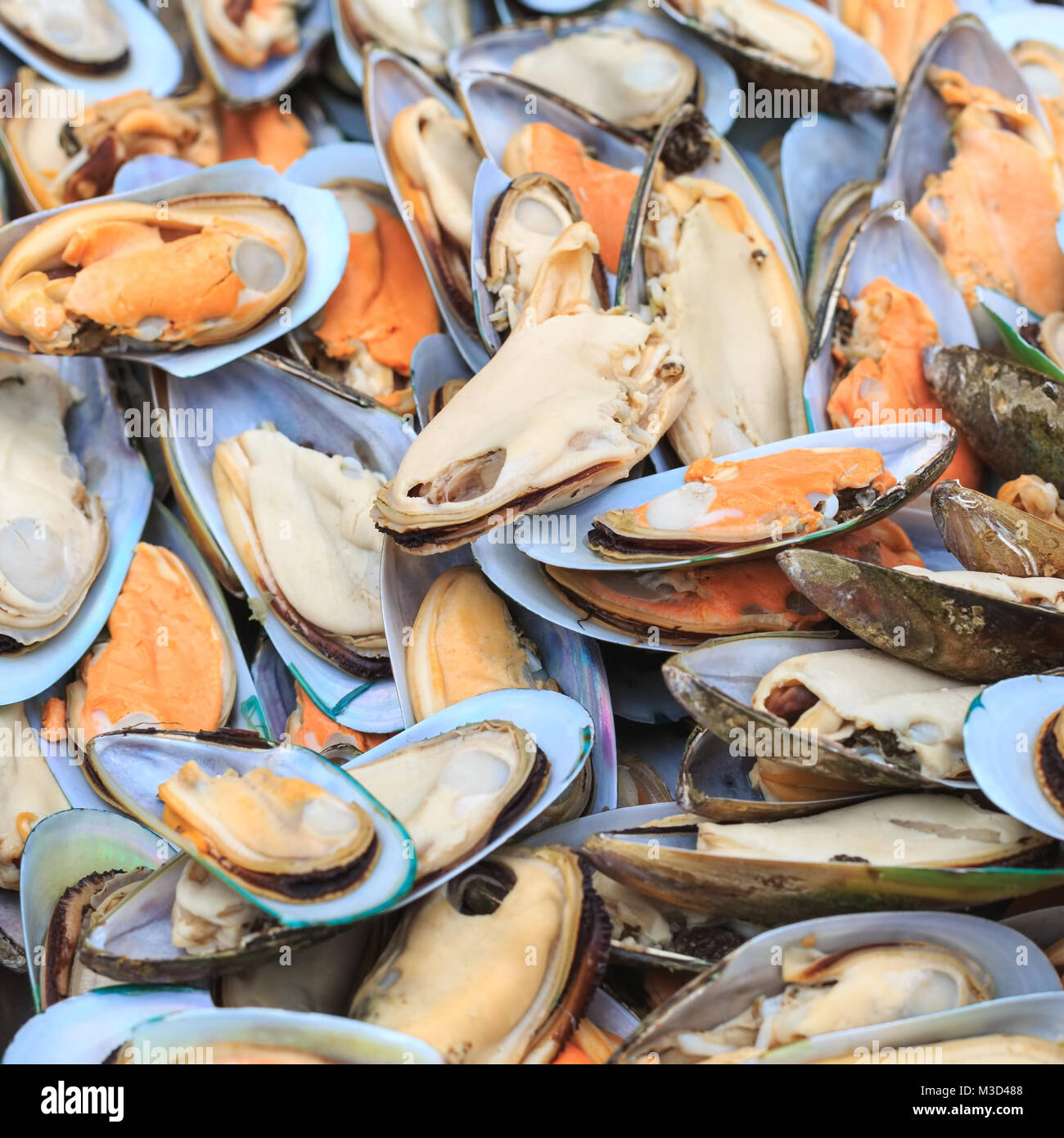 A lot of fresh large mussels lie in anticipation of cooking on the ...