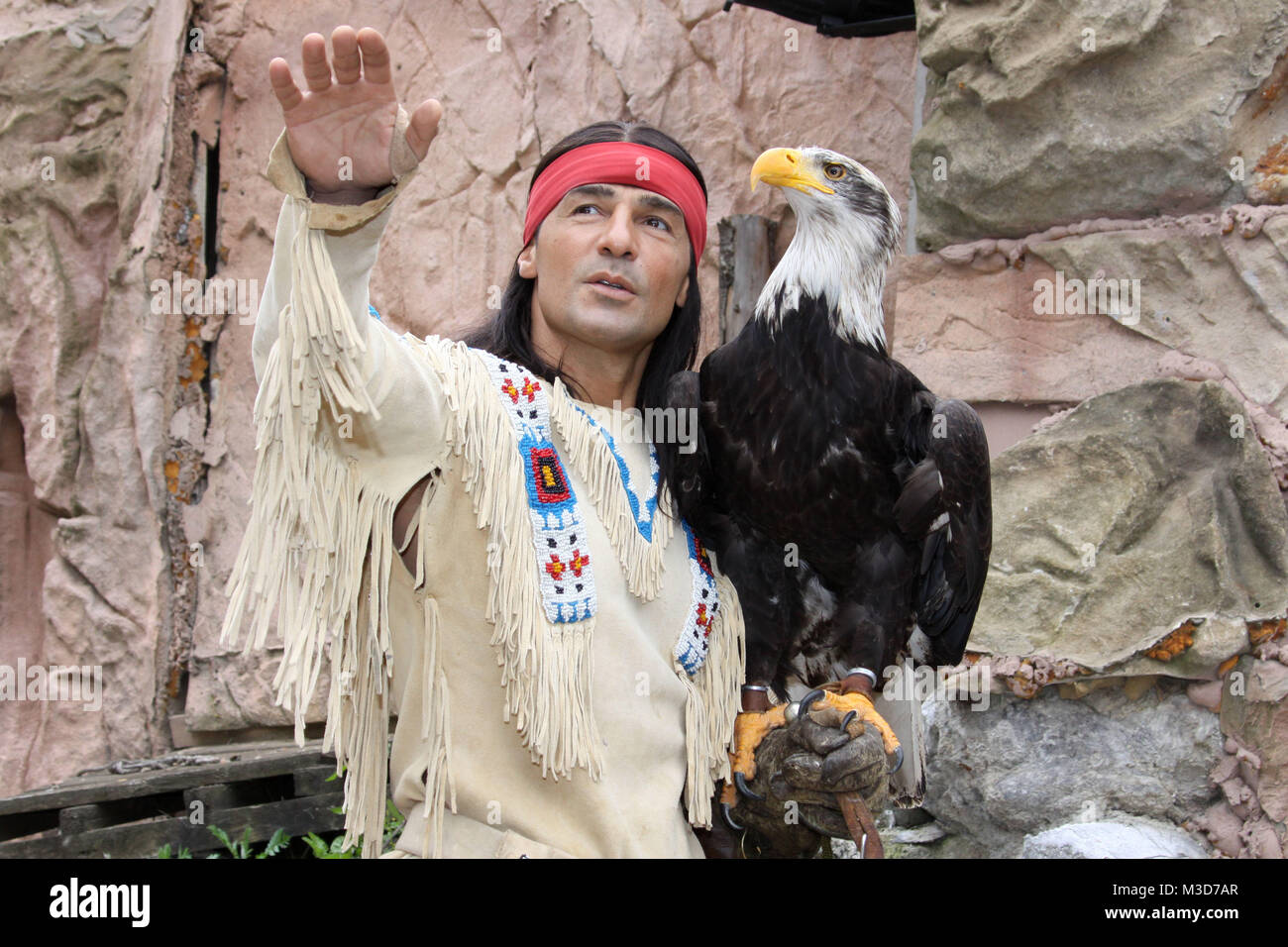 Halbblut High Resolution Stock Photography and Images - Alamy