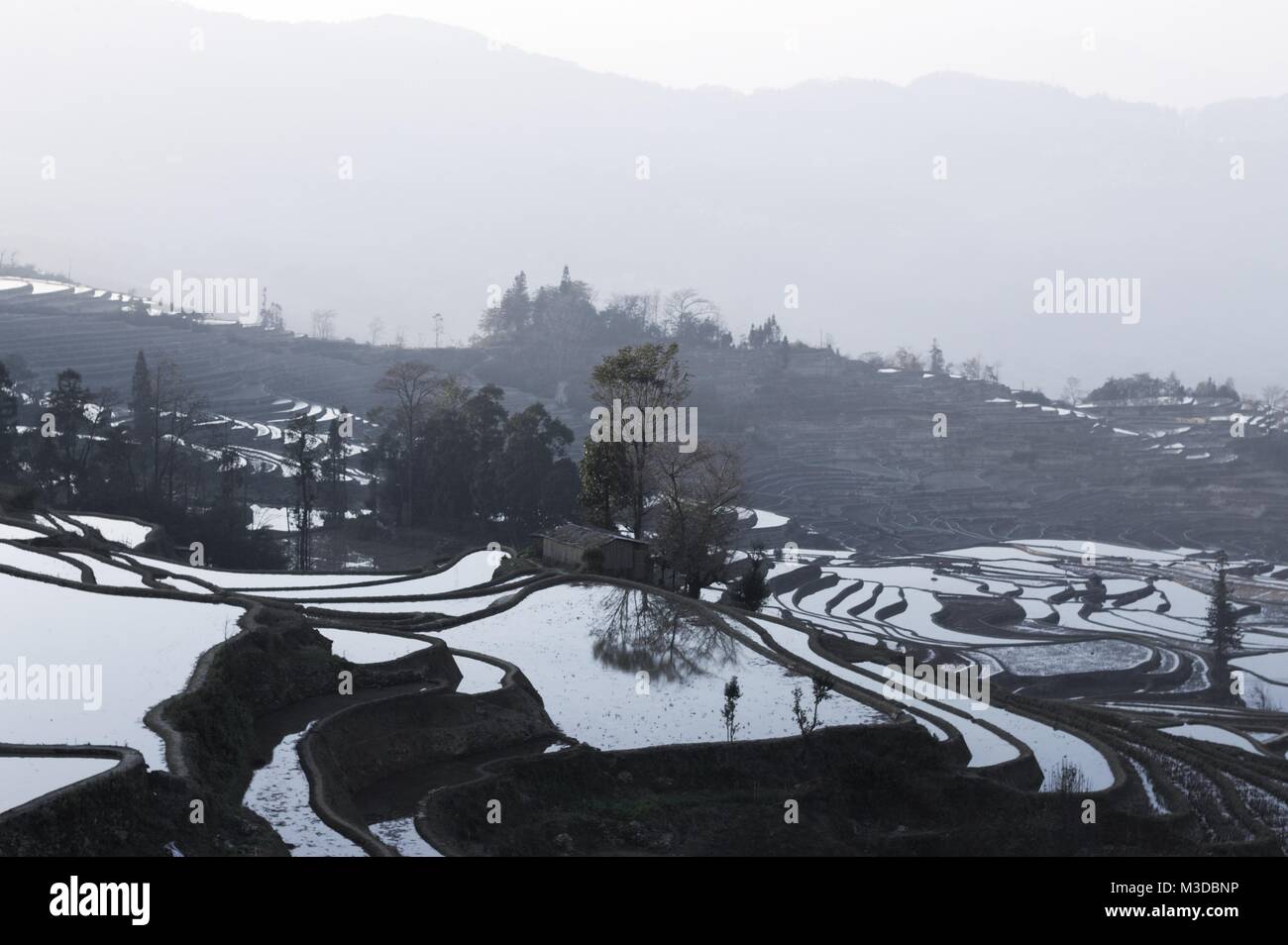 Sunset at rice terraces in Yuanyang (Yunnan, China Stock Photo - Alamy