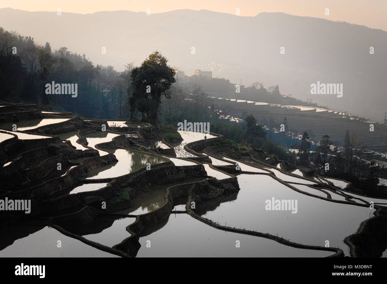 Sunset at rice terraces in Yuanyang (Yunnan, China Stock Photo - Alamy