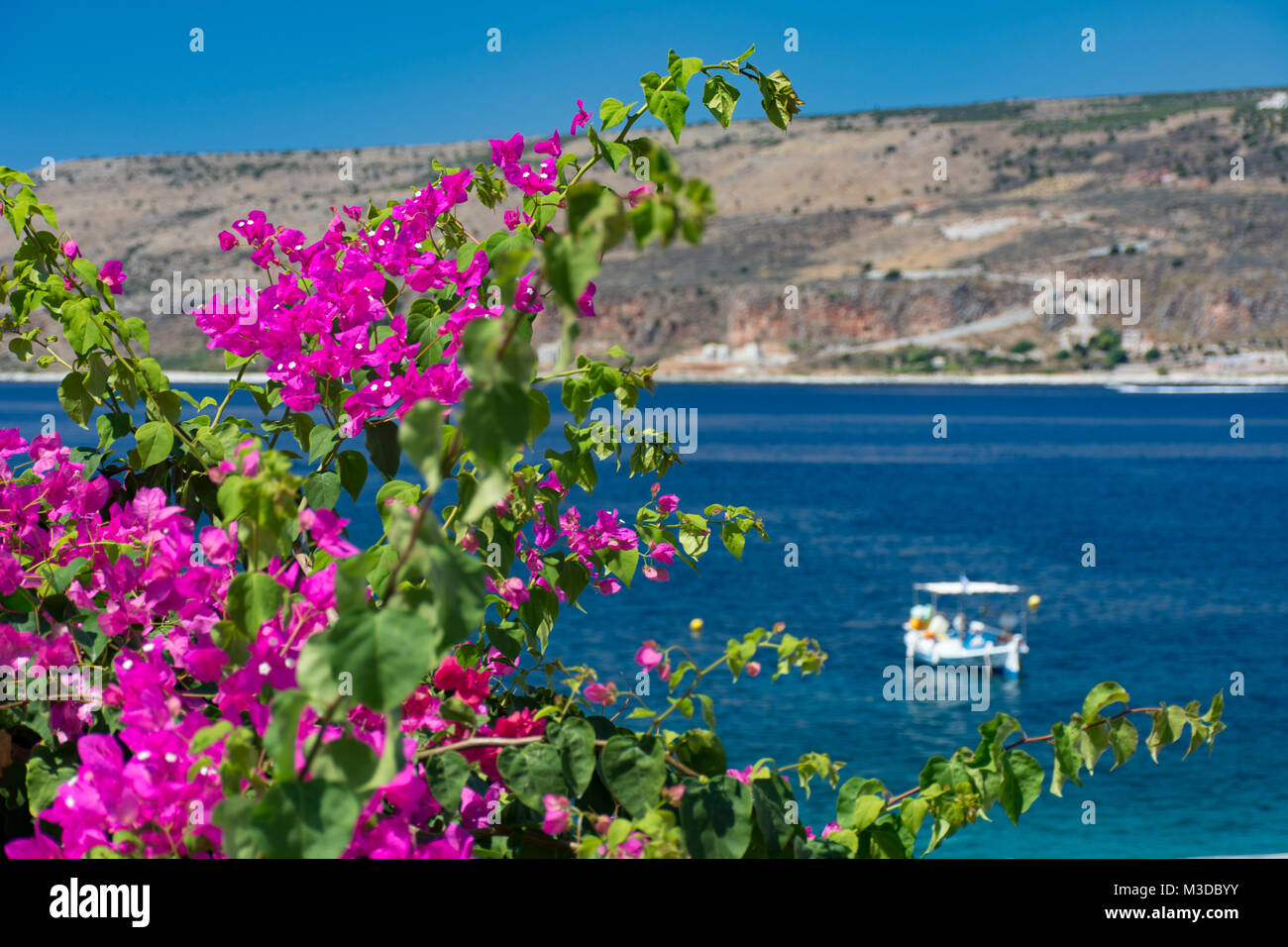 Summer in Greece Stock Photo - Alamy
