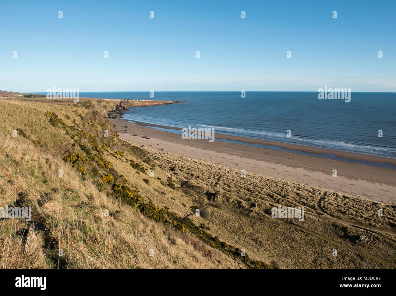 St. Cyrus beach viewed from the cliff top Stock Photo - Alamy