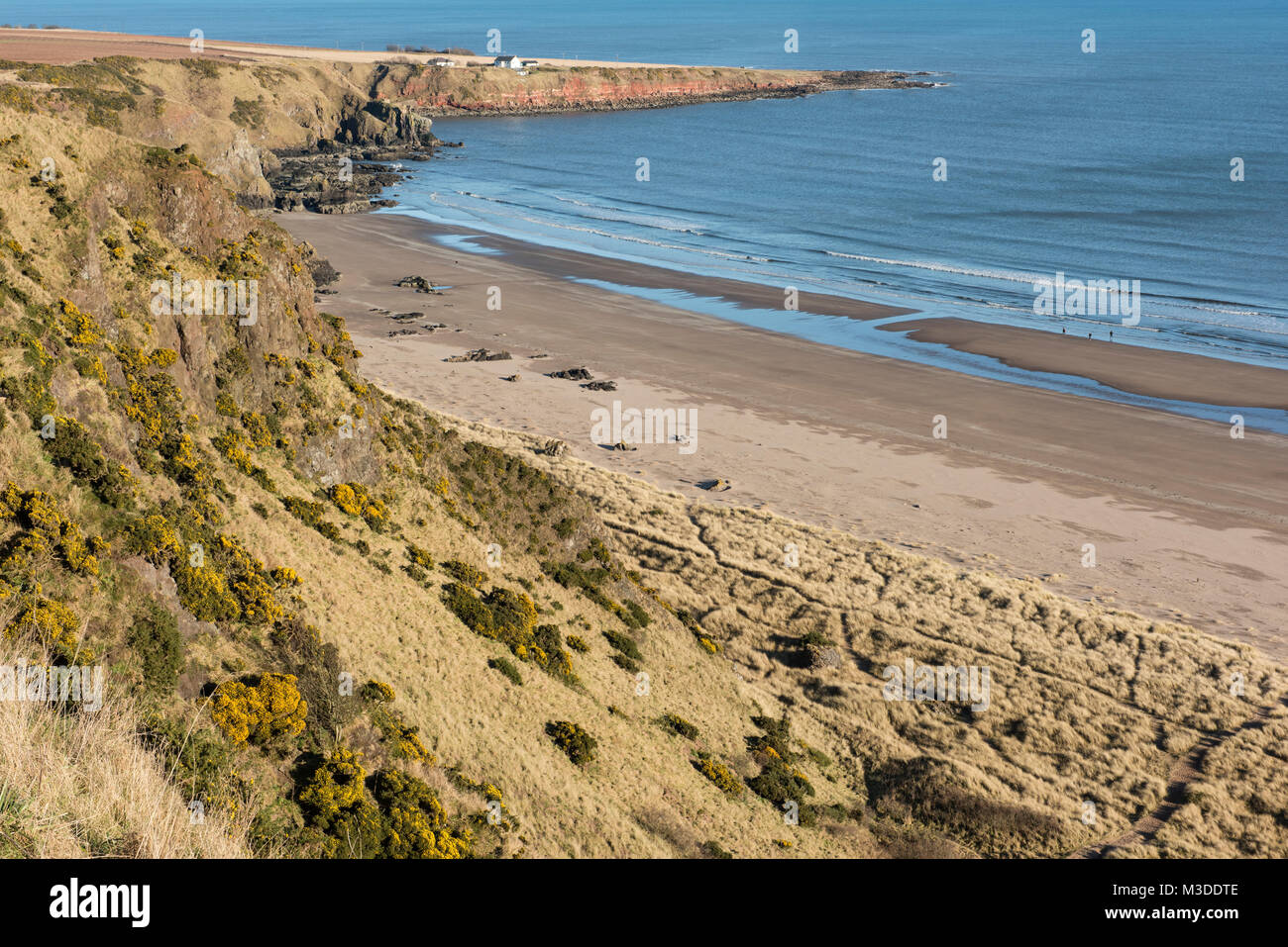 Cliff beach dunes hi-res stock photography and images - Alamy