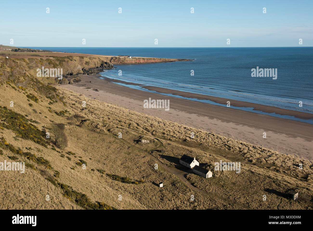 St. Cyrus beach viewed from the cliff top Stock Photo - Alamy