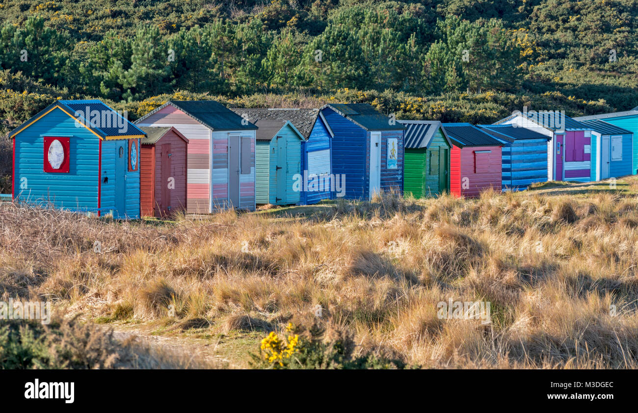 HOPEMAN MORAY SCOTLAND COLOURED BEACH HUTS SURROUNDED BY GRASSES AND ...