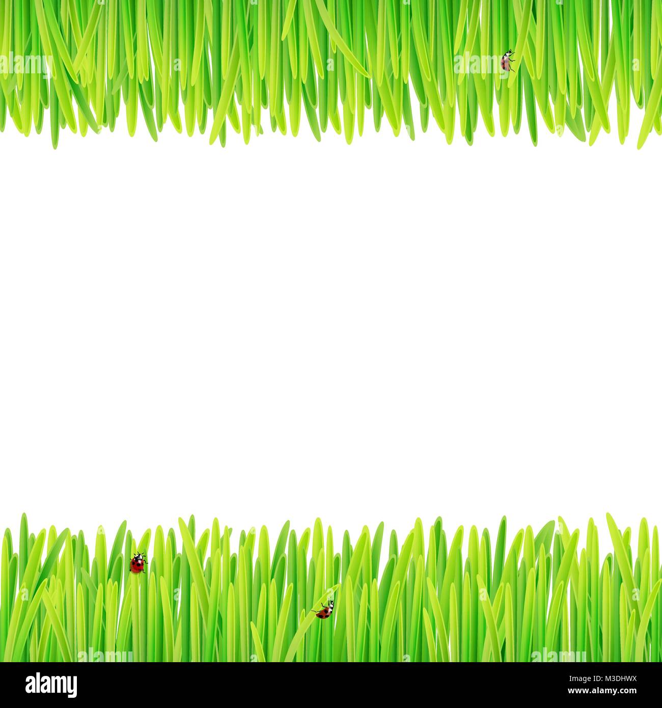 Spring Grass Legs Stock Vector Images Alamy