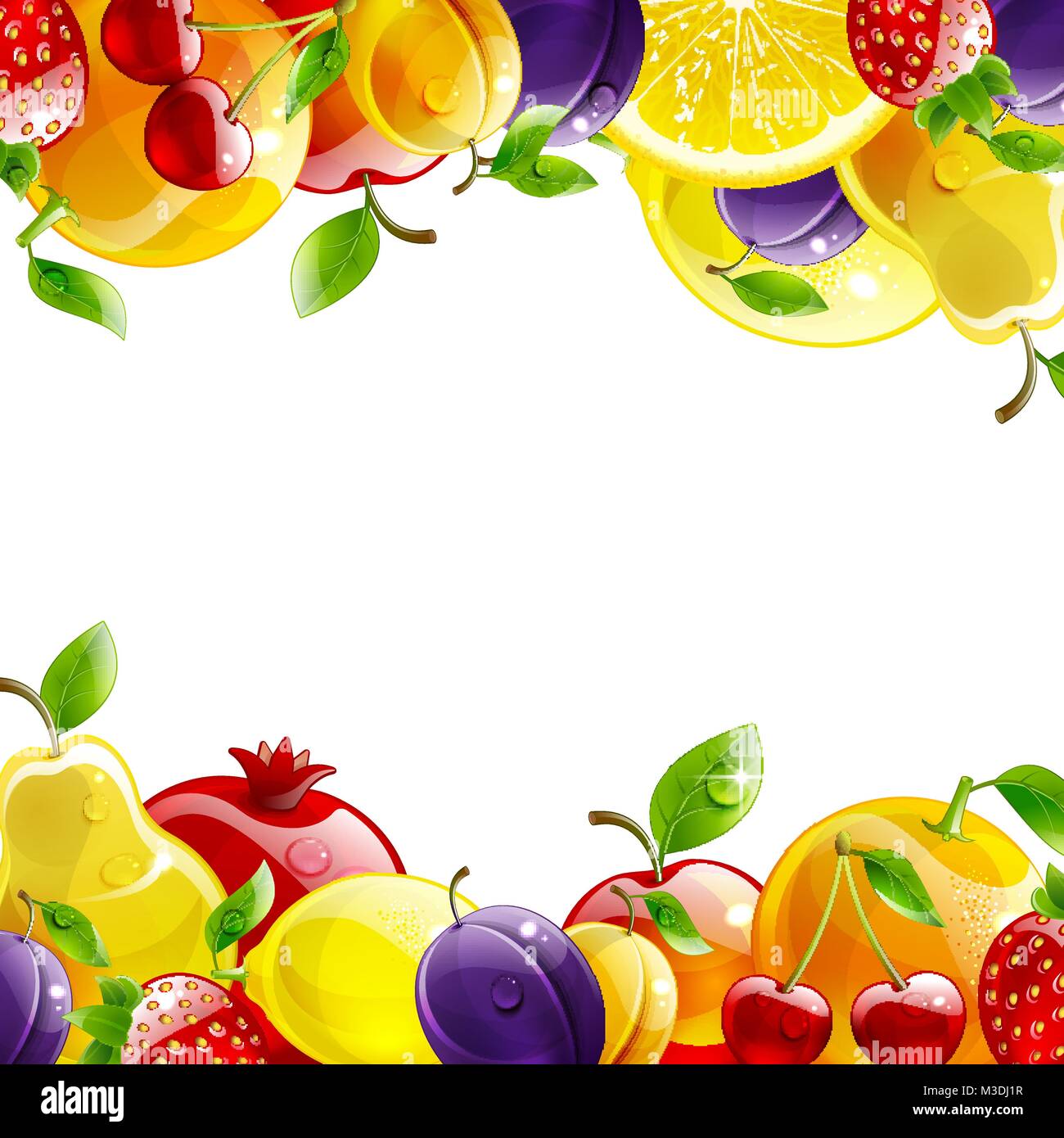 Summer banner citrus fruits Stock Vector Images - Alamy