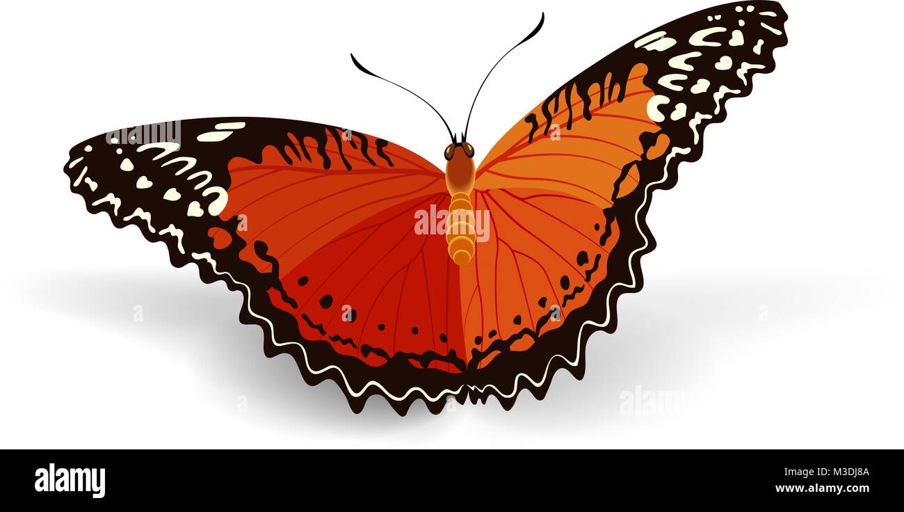 Body art butterfly Stock Vector Images - Alamy
