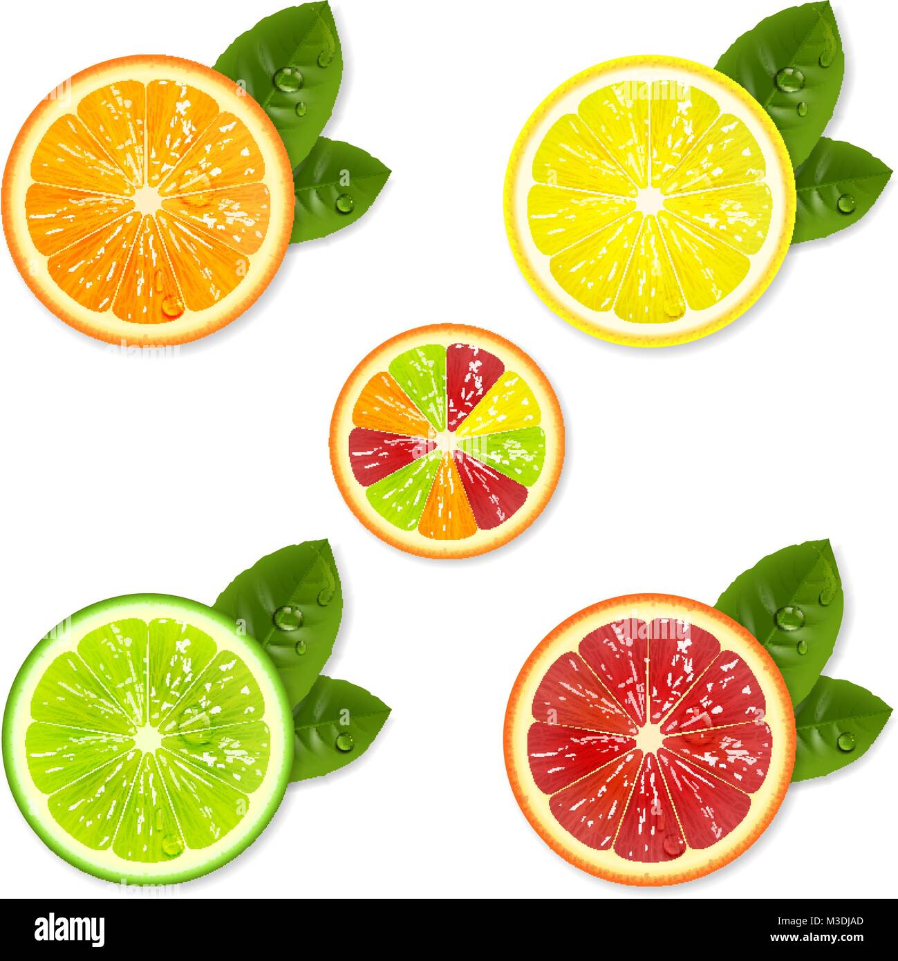 Orange lemon lime grapefruit Cut Out Stock Images & Pictures - Alamy