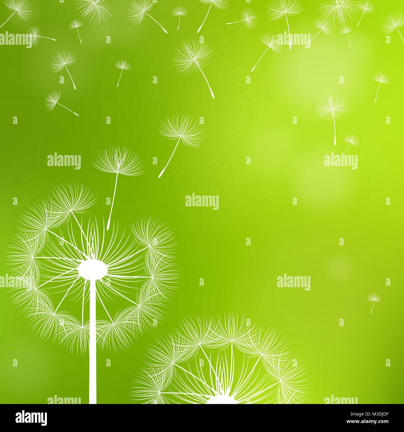 Weed seeds on green background Stock Vector Images - Alamy