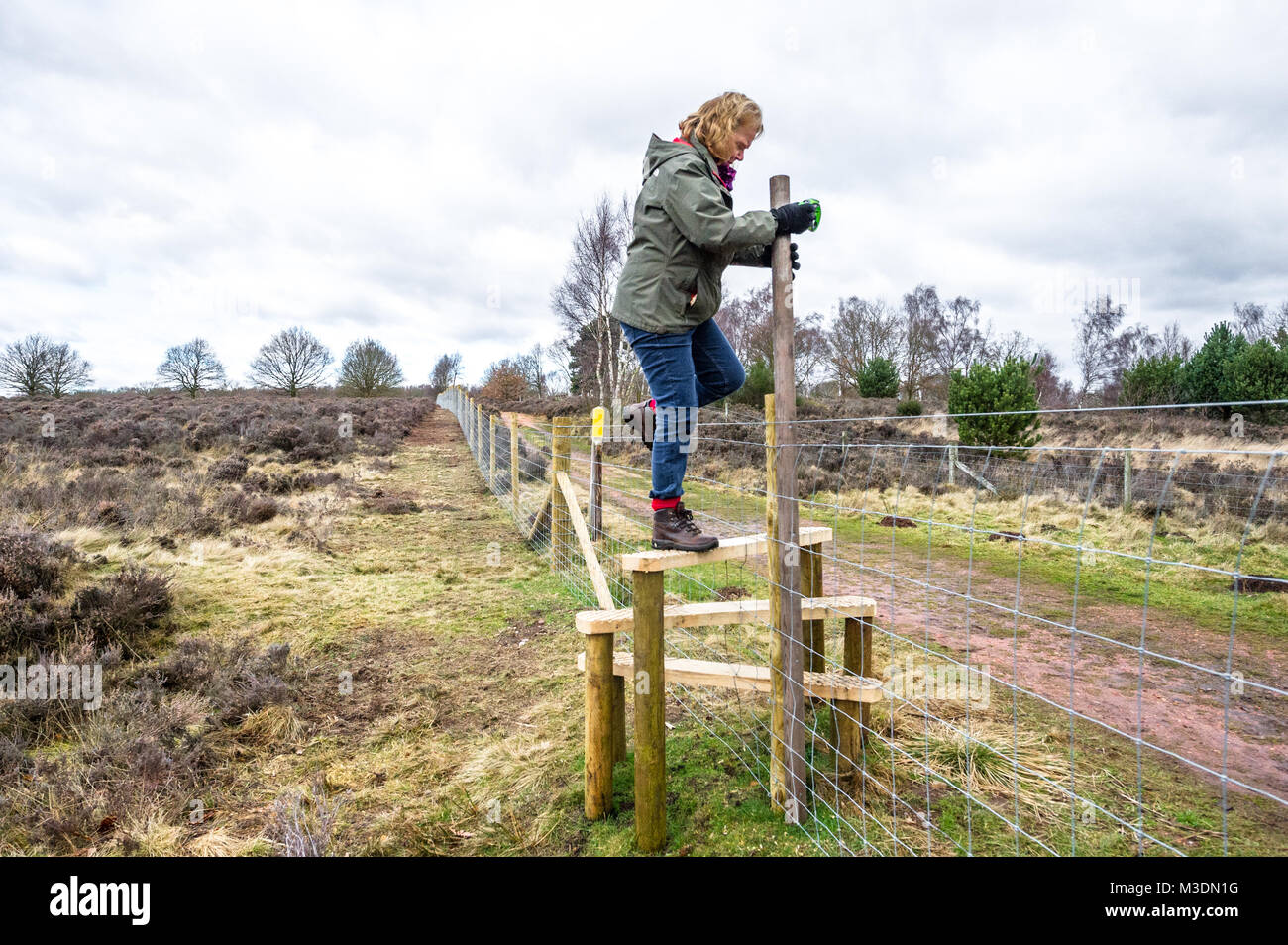 Female walker climbing over a wooden stile Stock Photo - Alamy