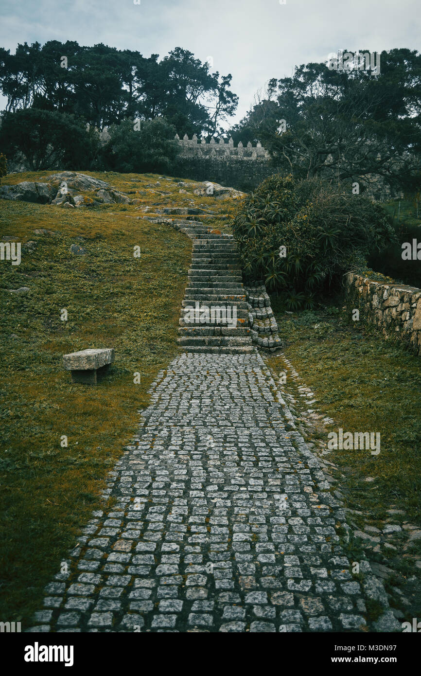 Nice stone path and stairs surrounded by grass in Baiona, Galicia Spain ...