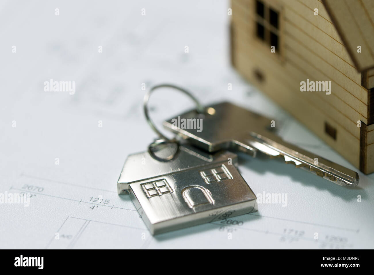Key with house plan Stock Photo - Alamy