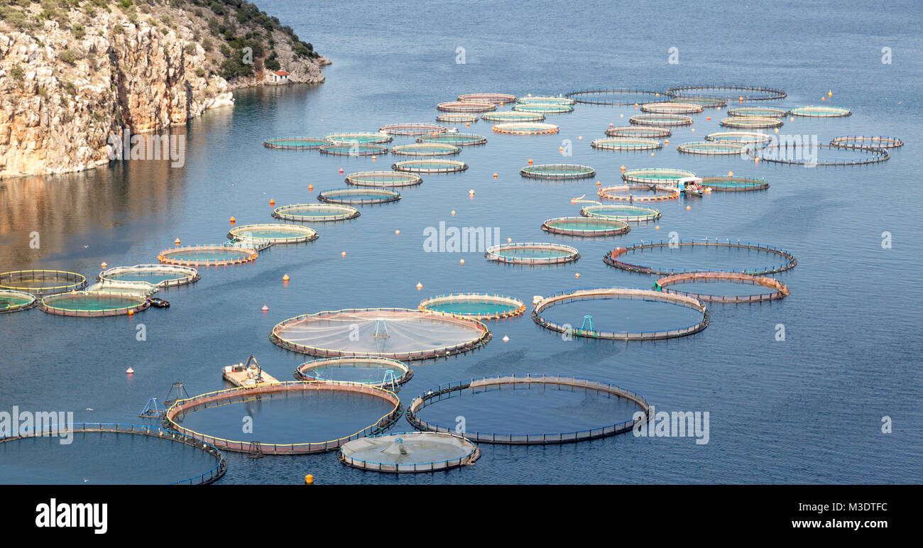 fish farm in greece Stock Photo - Alamy