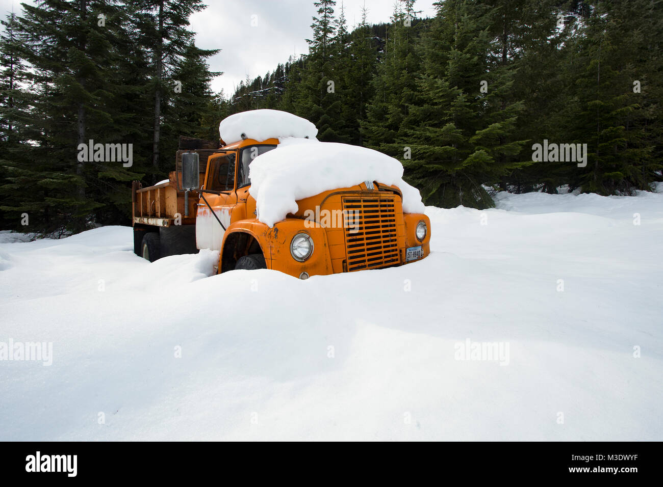 1970 international loadstar 1700a dump truck hi-res stock photography ...