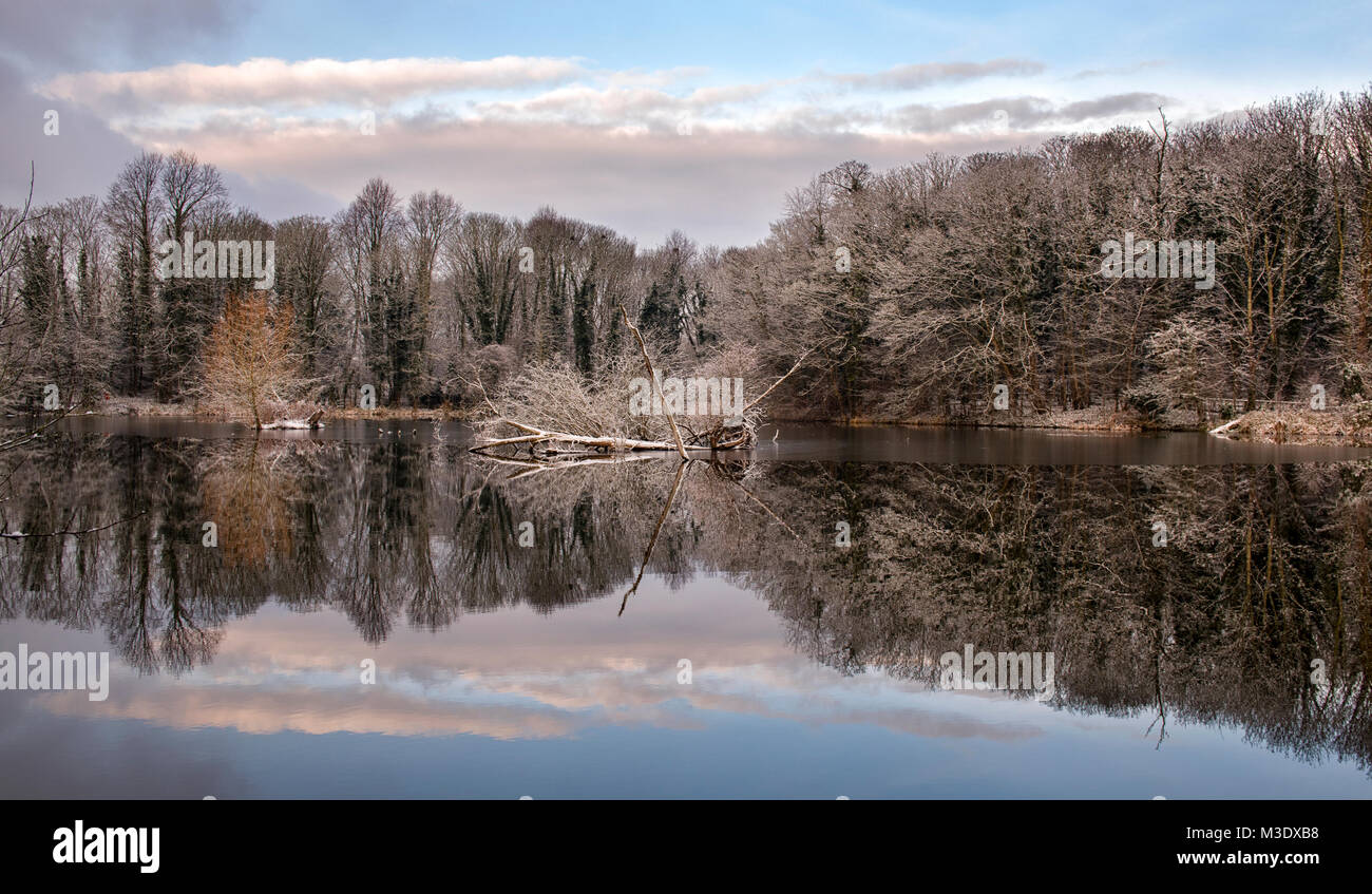 Snow at Colwick Country Park in Nottingham, England UK Stock Photo - Alamy