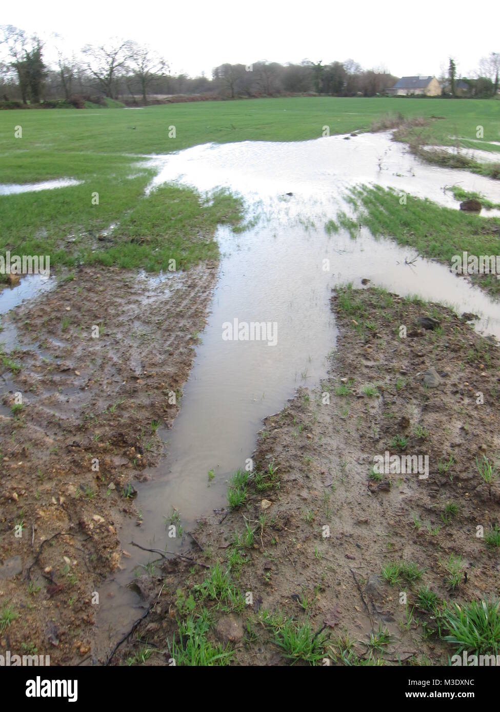 Flooded field at winter Stock Photo - Alamy