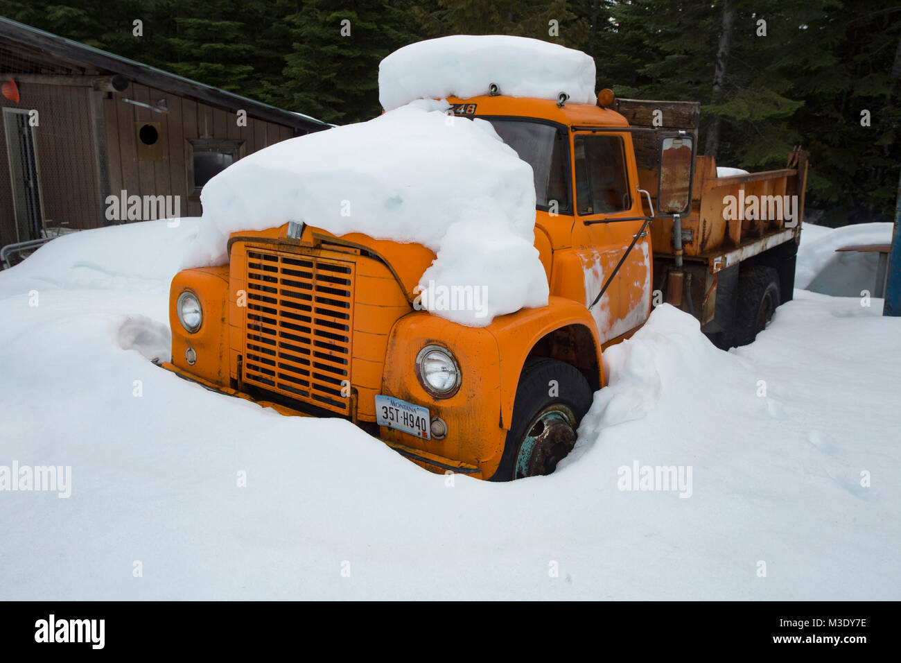 1970 international loadstar 1700a dump truck hi-res stock photography ...