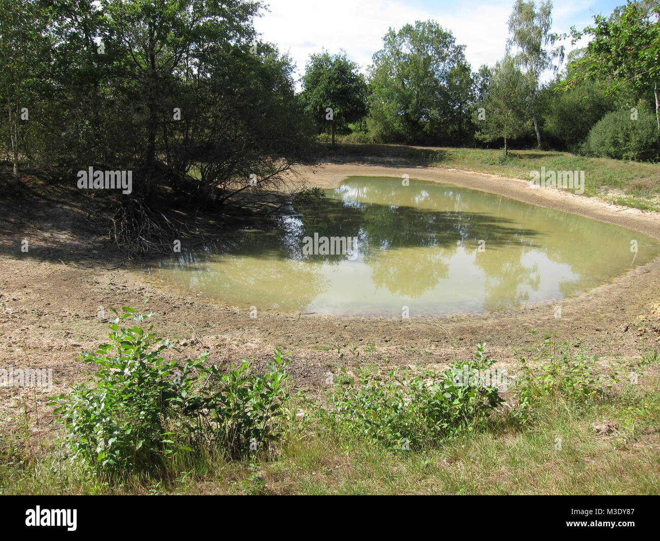 Dry pond, crackled earth Stock Photo - Alamy