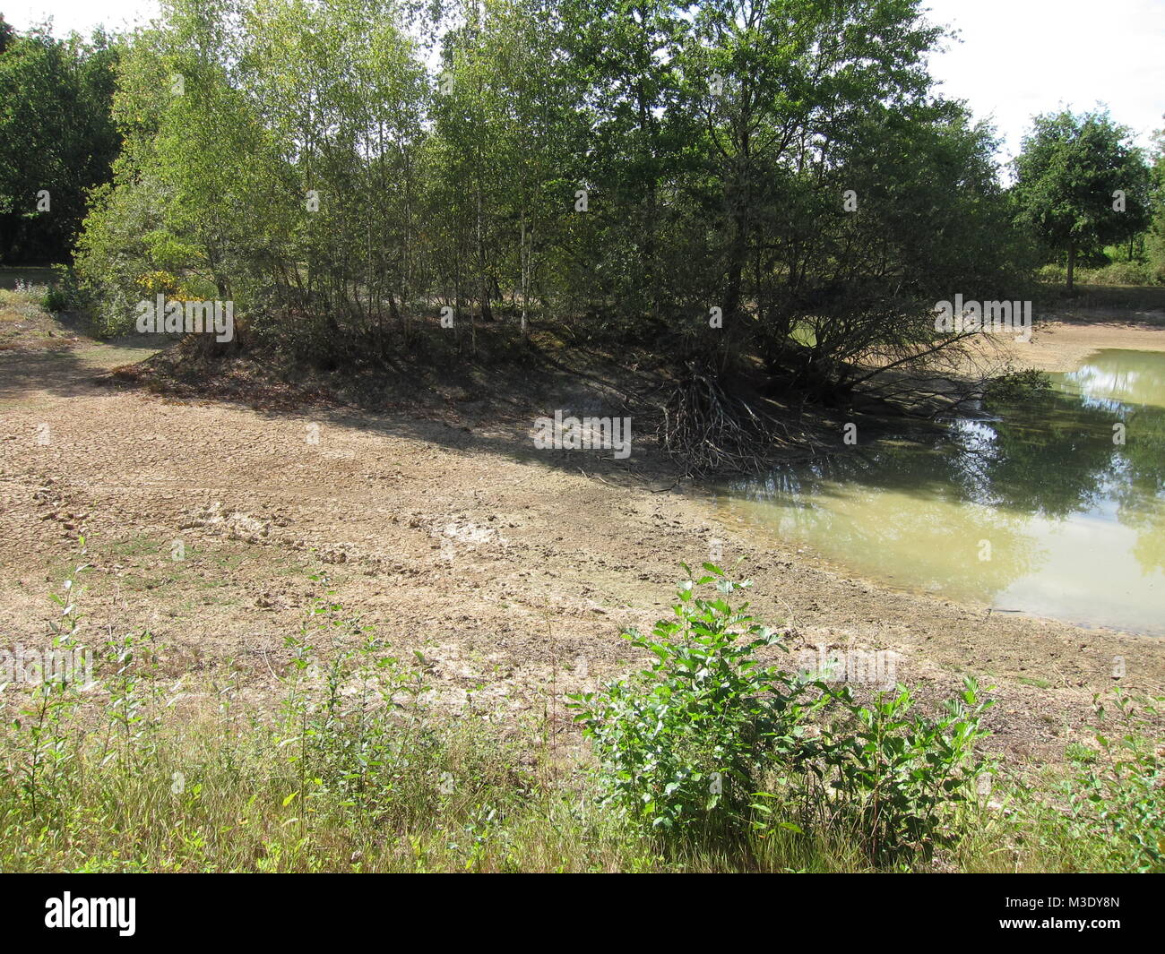 Dry pond, crackled earth Stock Photo - Alamy