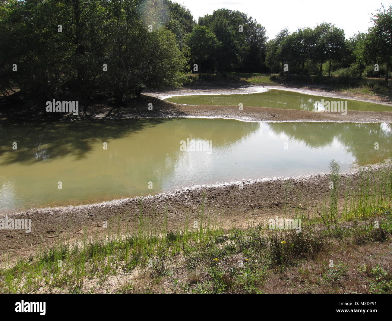 Dry pond, crackled earth Stock Photo - Alamy