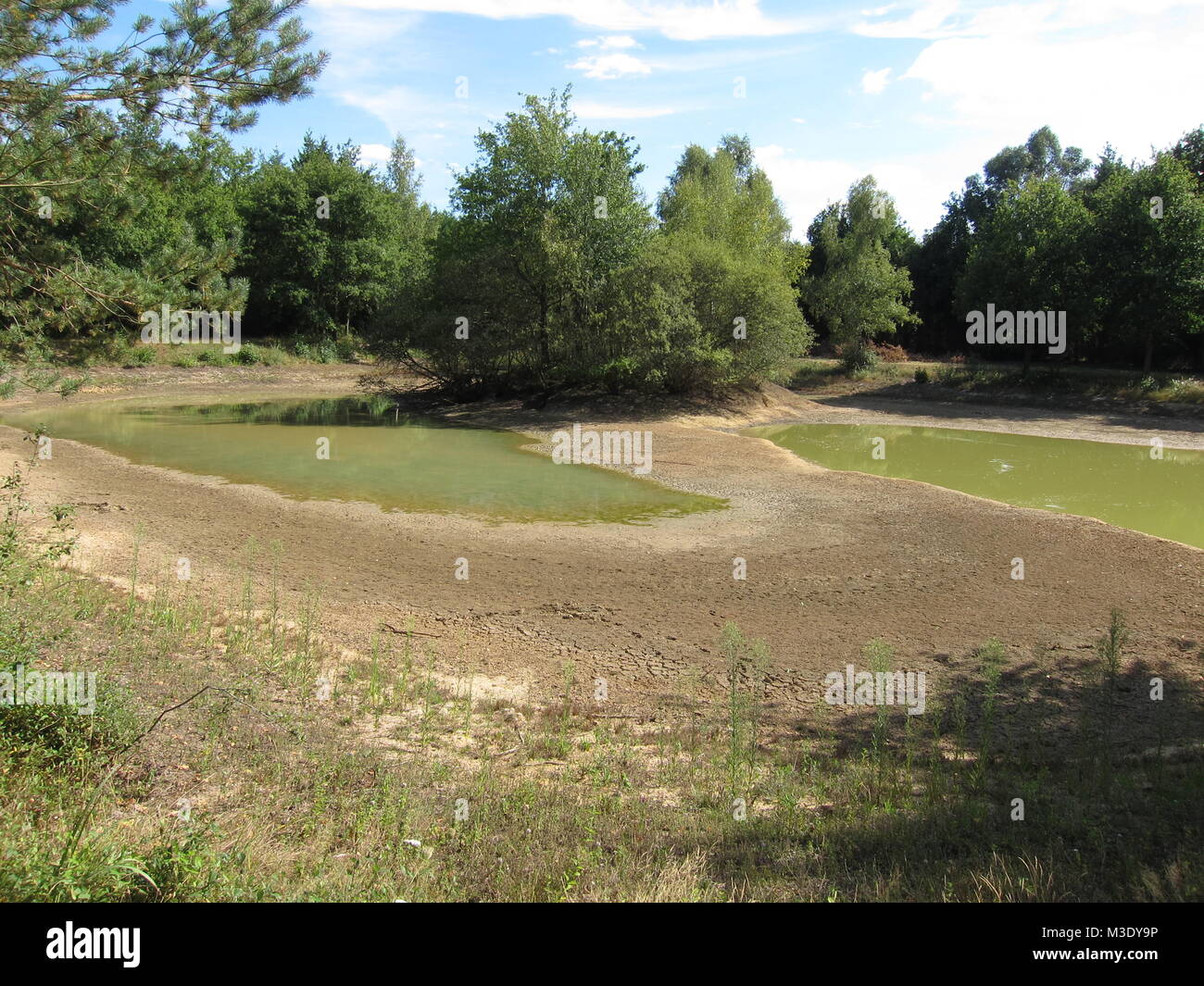 Dry pond, crackled earth Stock Photo - Alamy