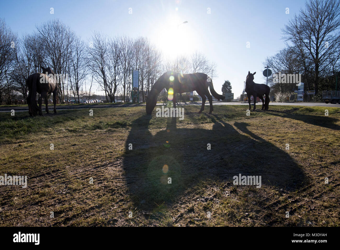 Horse Sculptures on Racecourse Roundabout on Daleside Road in Colwick ...