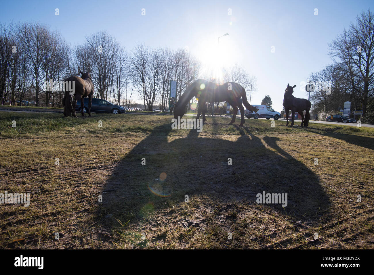 Horse Sculptures on Racecourse Roundabout on Daleside Road in Colwick ...