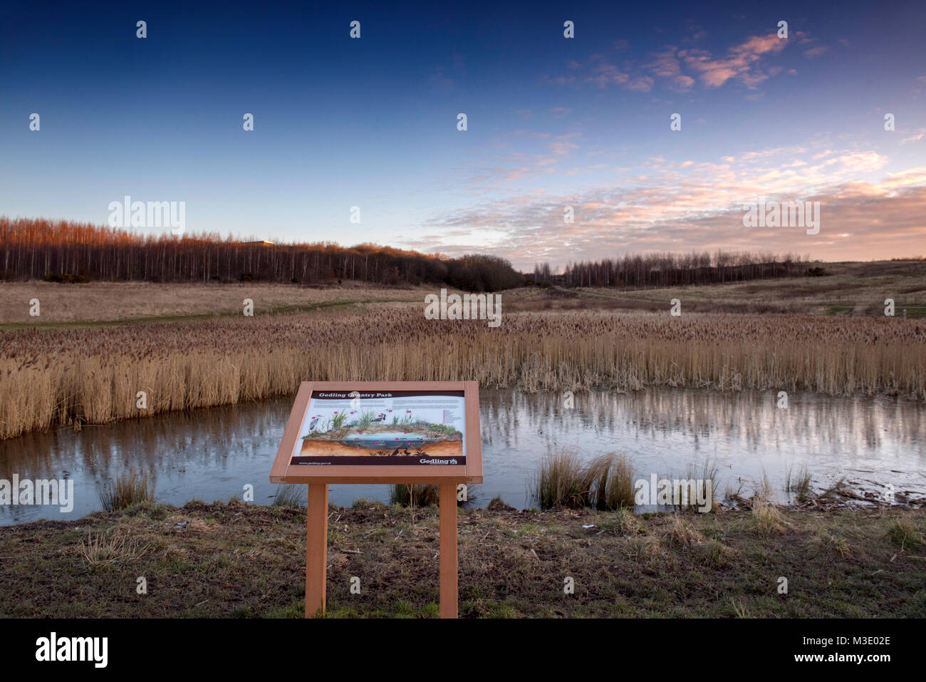 Sunrise at Gedling Country Park, Nottinghamshire England UK Stock Photo ...