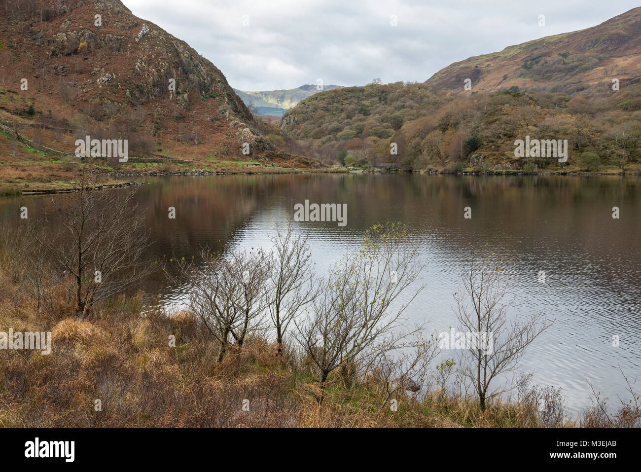 Llyn Dinas in autumn, Snowdonia national park, North Wales Stock Photo - Alamy