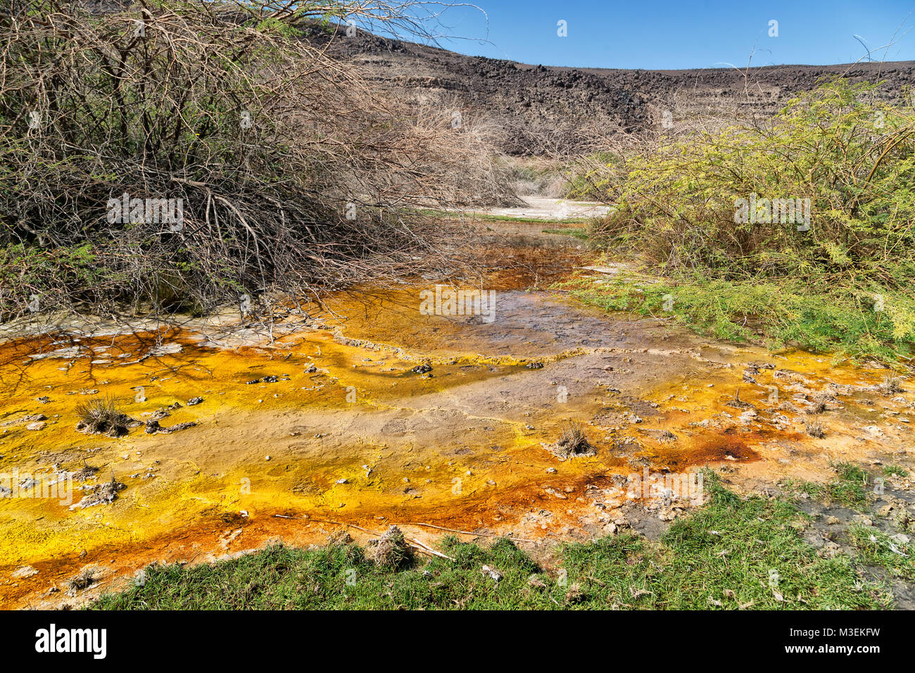 in danakil ethiopia africa the volcanic depression of dallol and pole ...