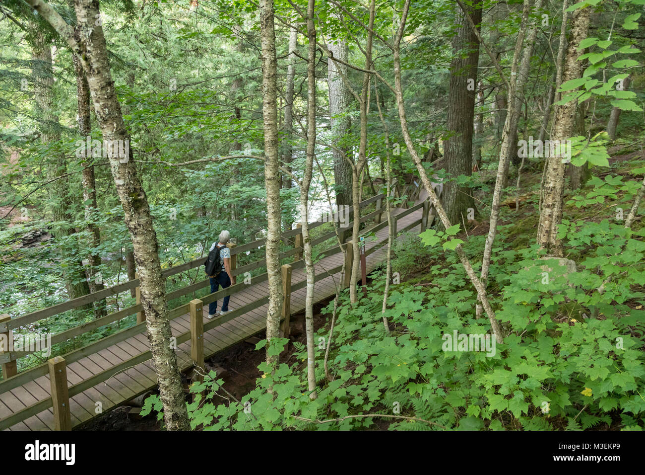 Wakefield, Michigan - Susan Newell, 68, hikes on a boardwalk beside the ...