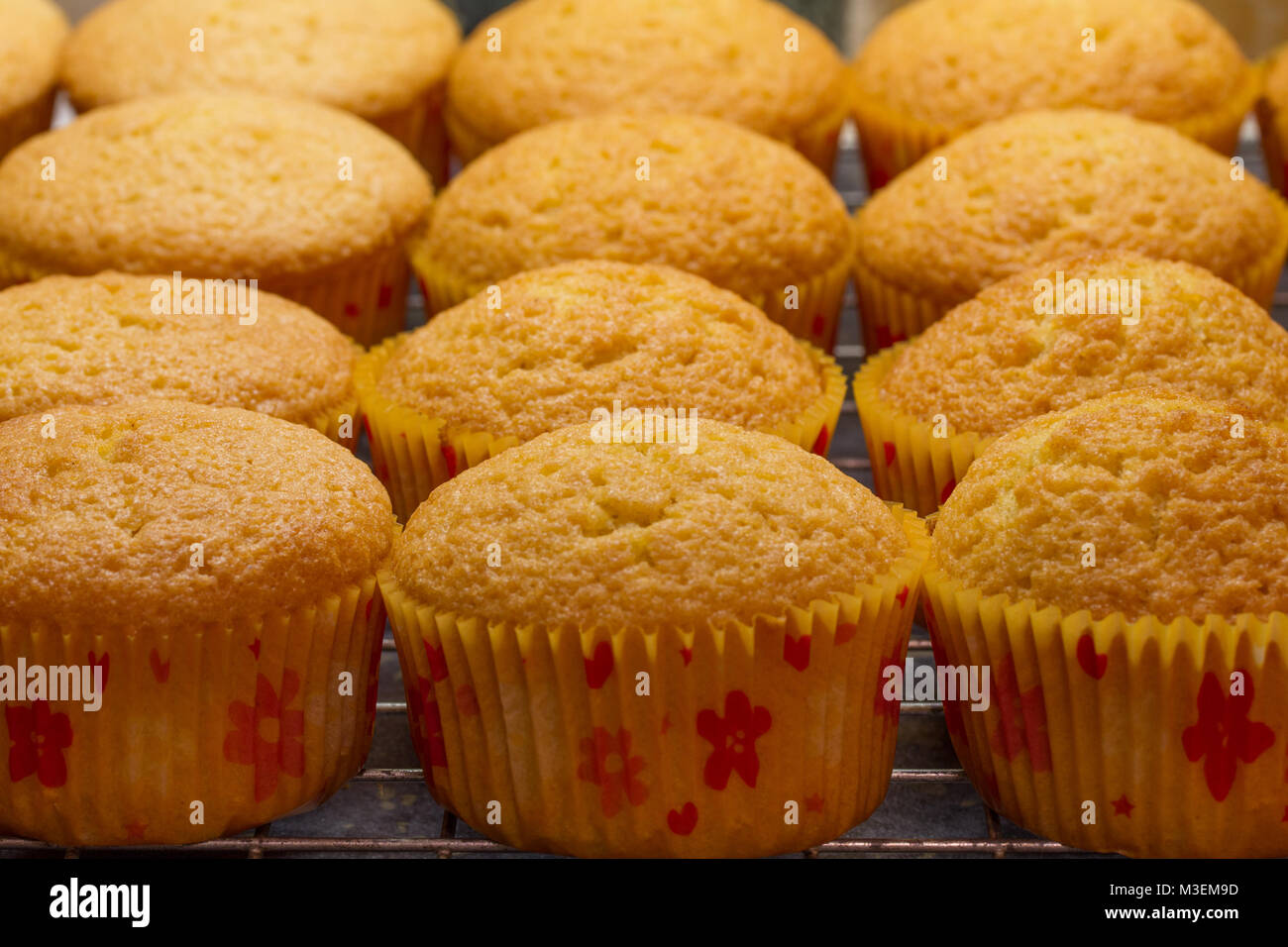 Batch of cup cakes Stock Photo - Alamy