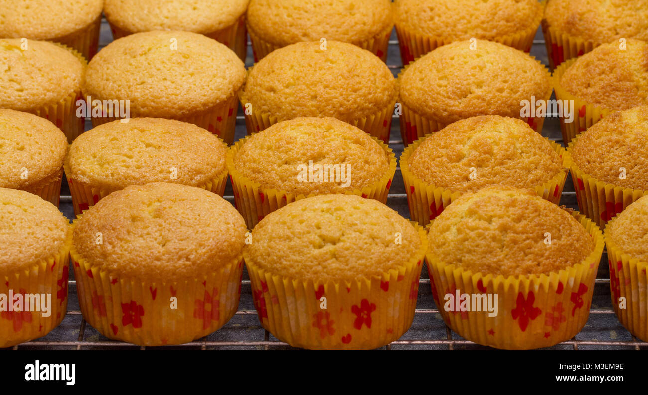 Batch of cup cakes Stock Photo - Alamy