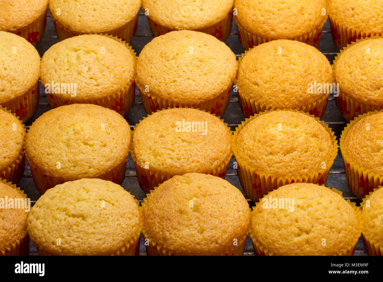 Batch of cup cakes Stock Photo - Alamy