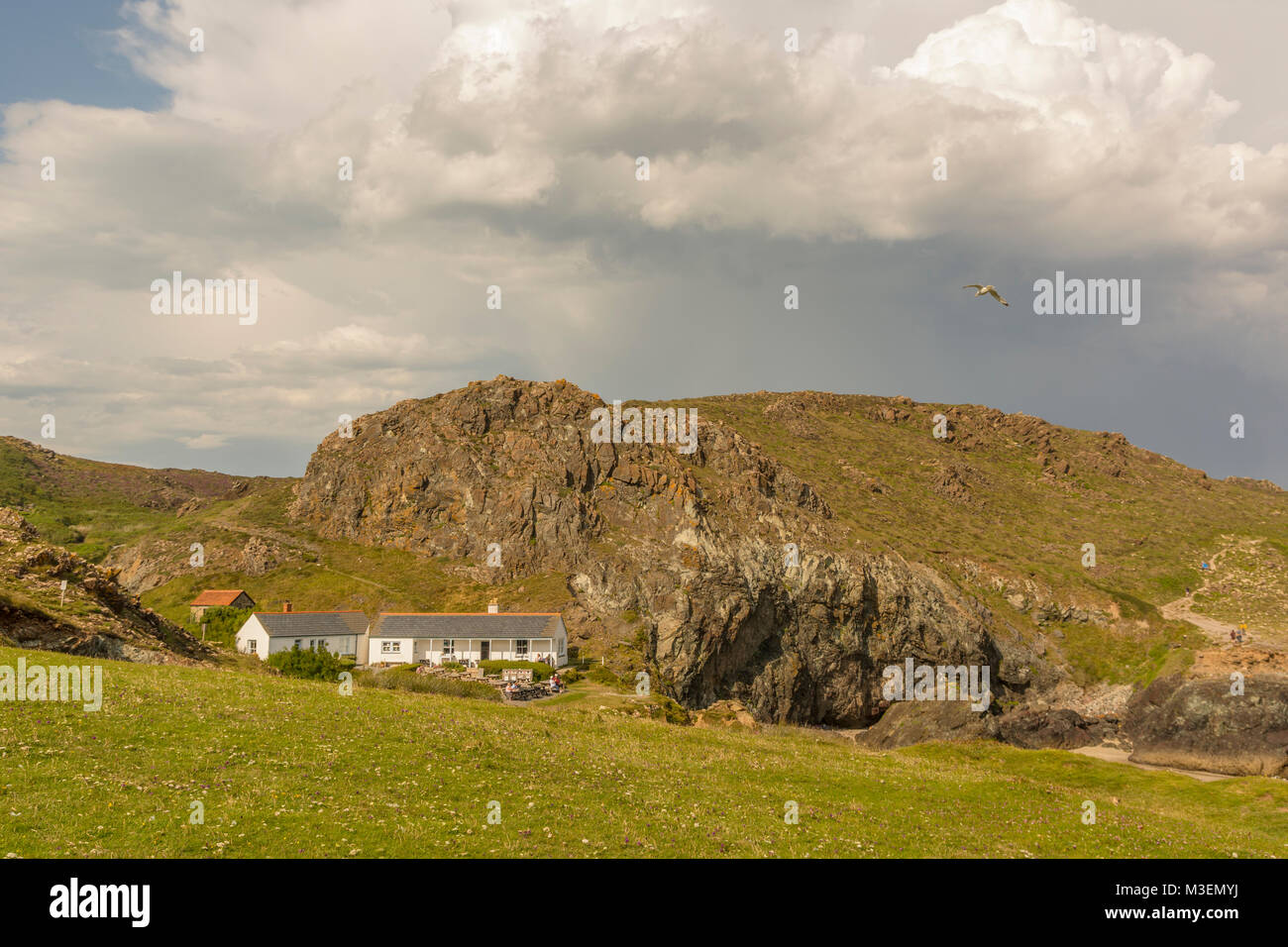 Kynance Cove Cafe - Kynance Cove, Cornwall, UK Stock Photo - Alamy