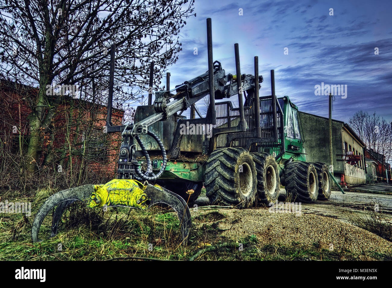 Digger pine hi-res stock photography and images - Alamy