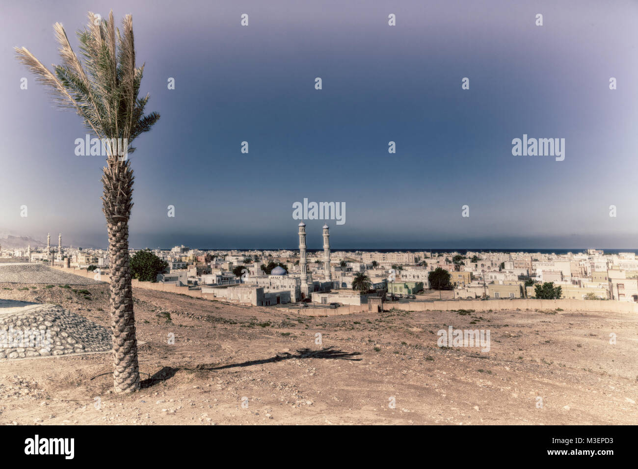 in muscat oman the cityscape and the palm near ocean view Stock Photo ...