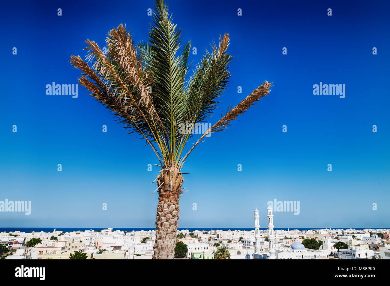 in muscat oman the cityscape and the palm near ocean view Stock Photo ...