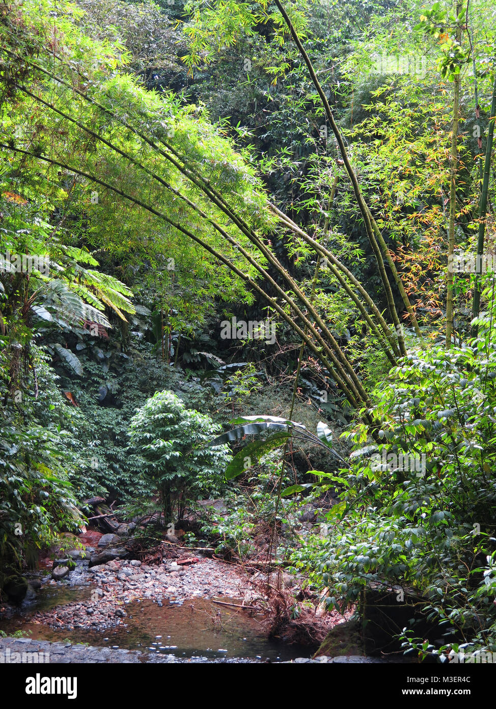 Inviting waterfall hi-res stock photography and images - Alamy