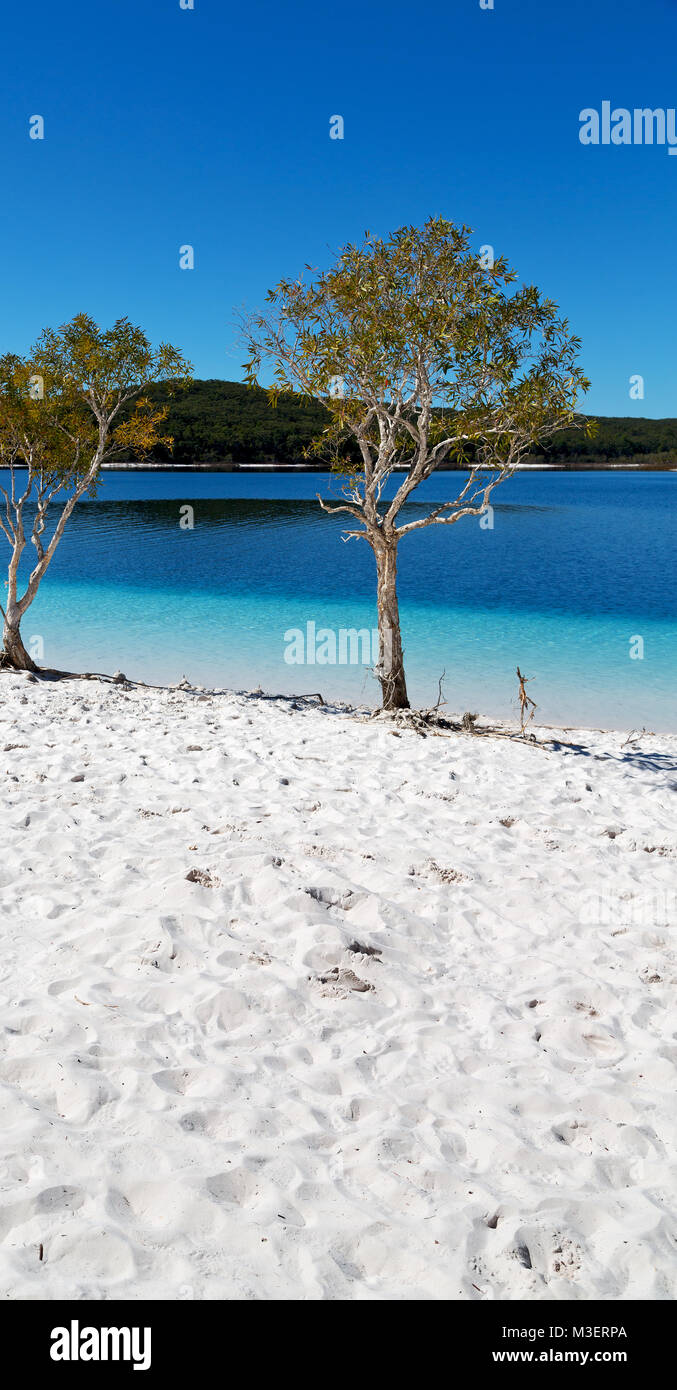 Lake mackenzie, fraser island hi-res stock photography and images - Alamy