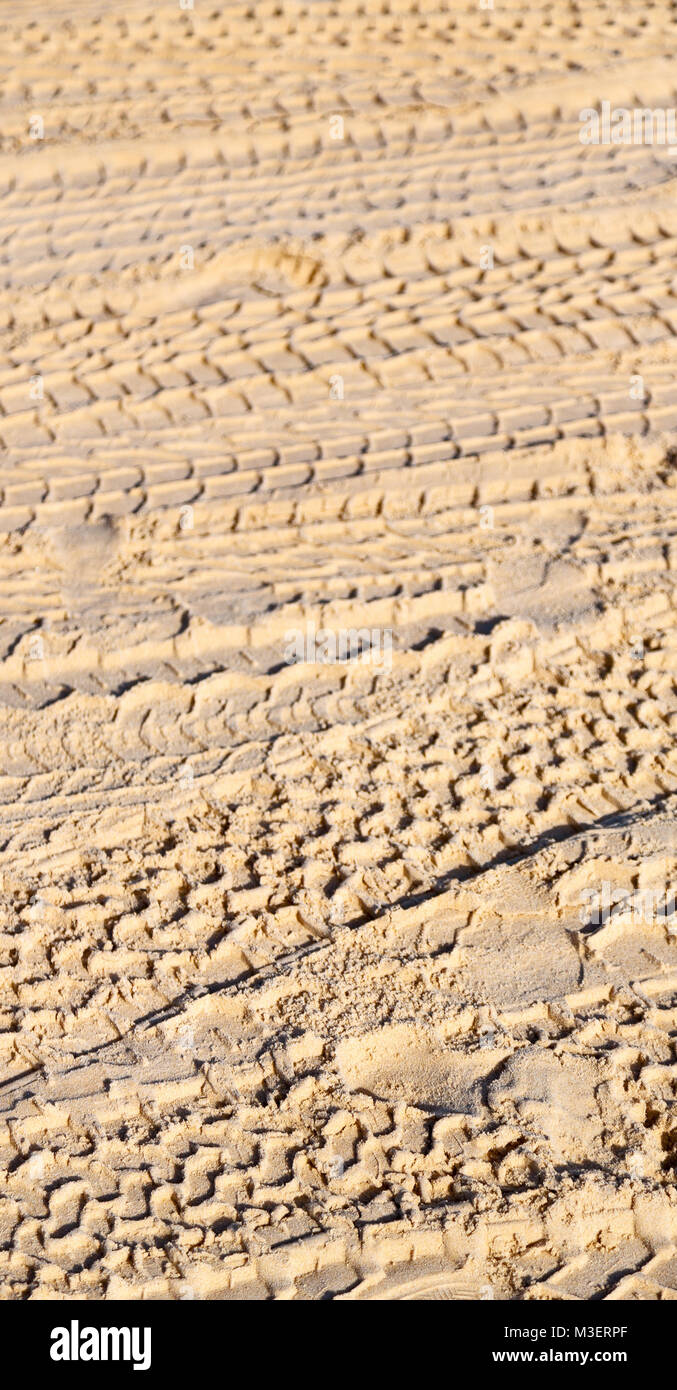 in the desert beach track of car and truck in the sand like abstract ...